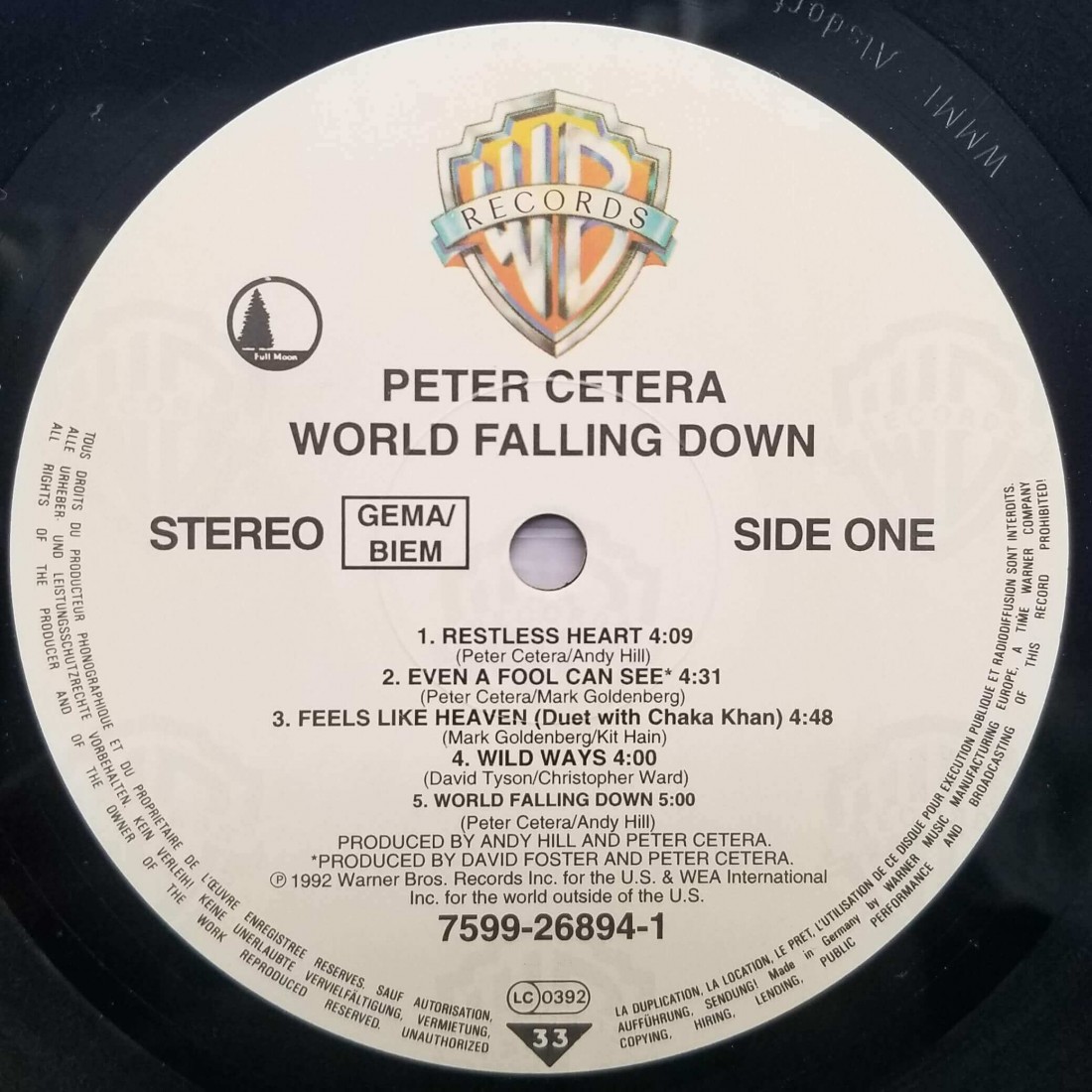 Peter Cetera - World Falling Down - 1992 I Plak Sesi
